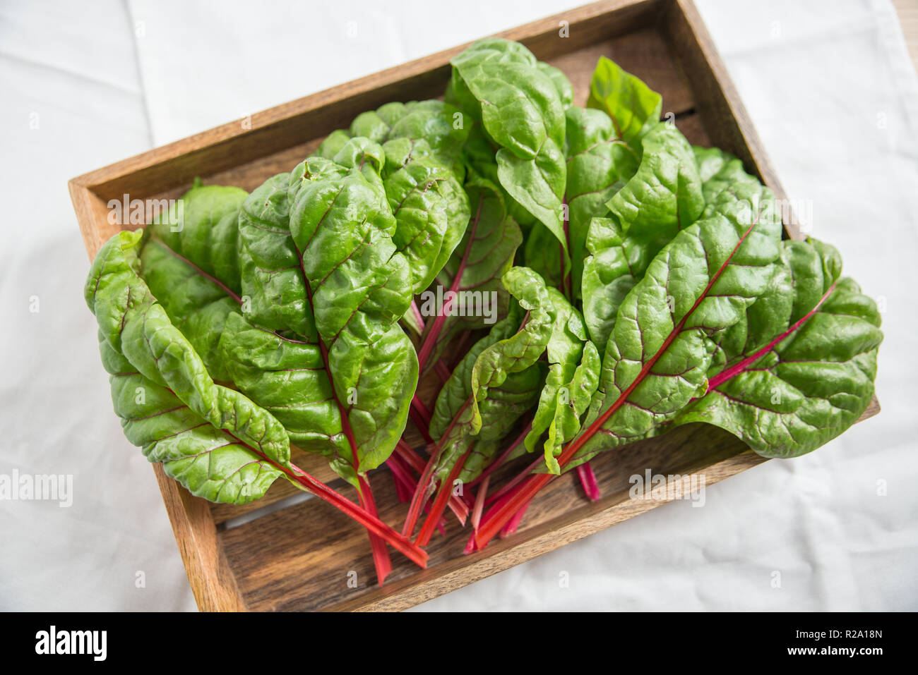 Mangold wurzel -Fotos und -Bildmaterial in hoher Auflösung – Alamy