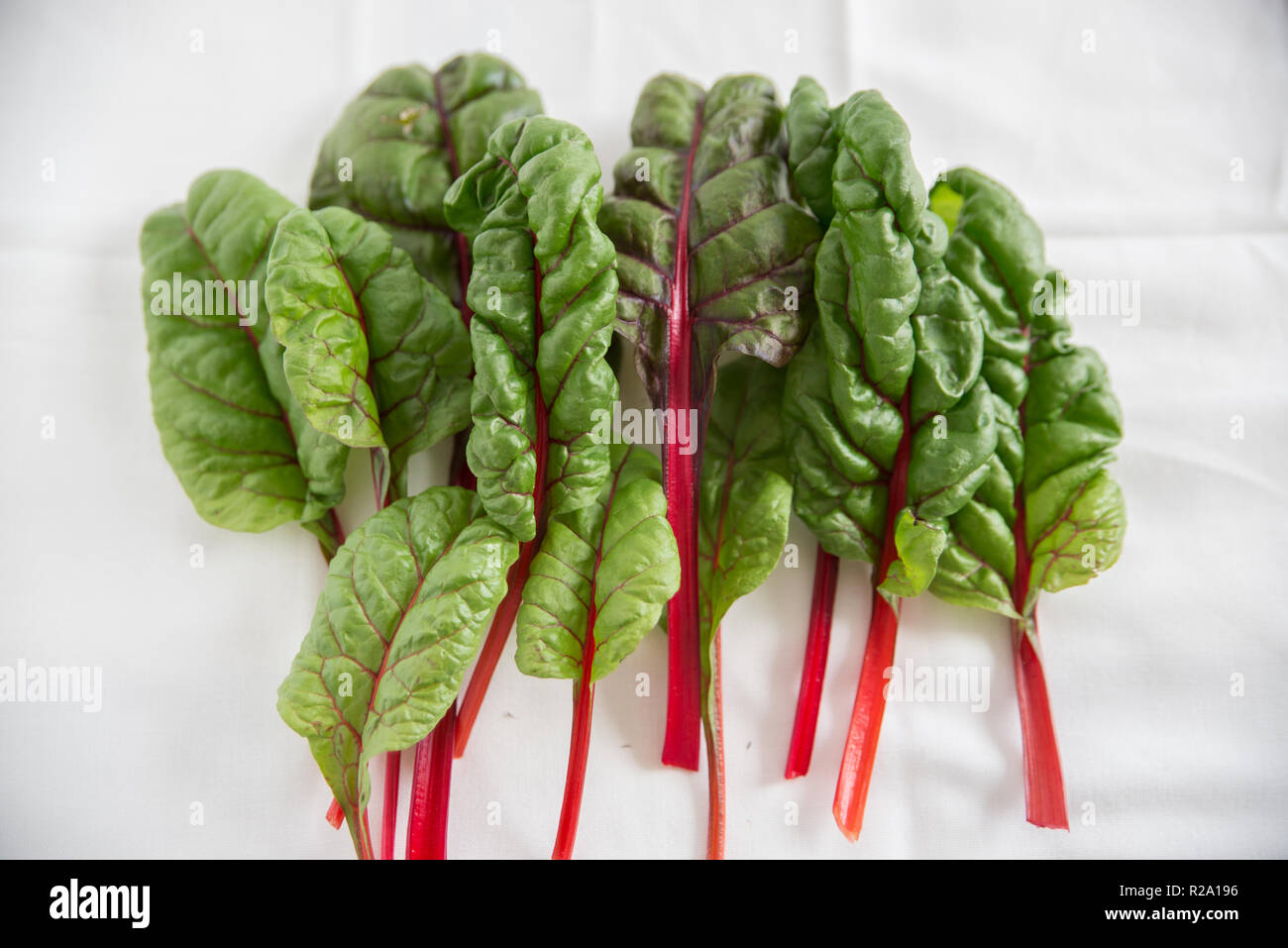 Mangold wurzel -Fotos und -Bildmaterial in hoher Auflösung – Alamy