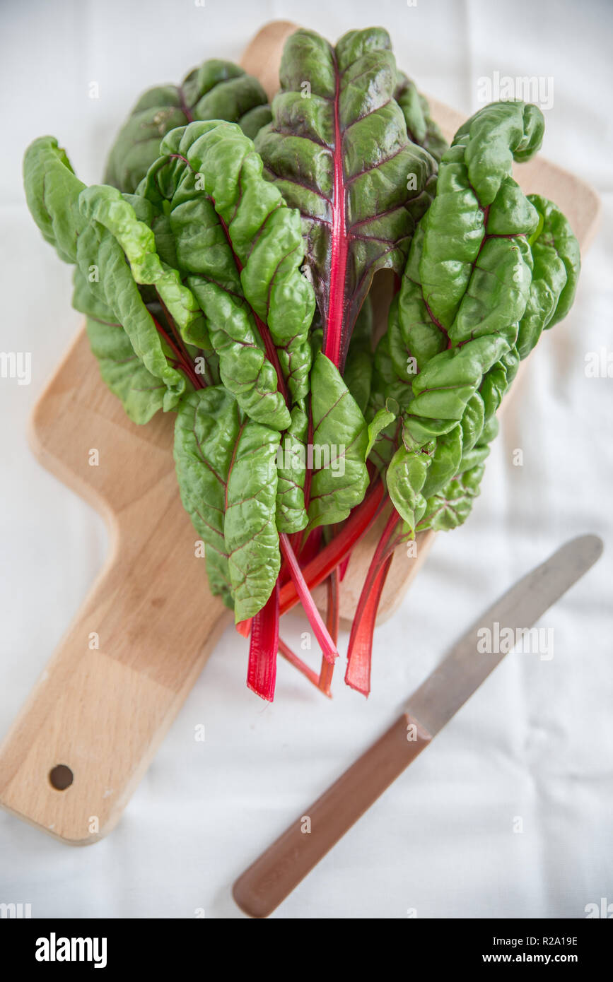 Mangold wurzel -Fotos und -Bildmaterial in hoher Auflösung – Alamy