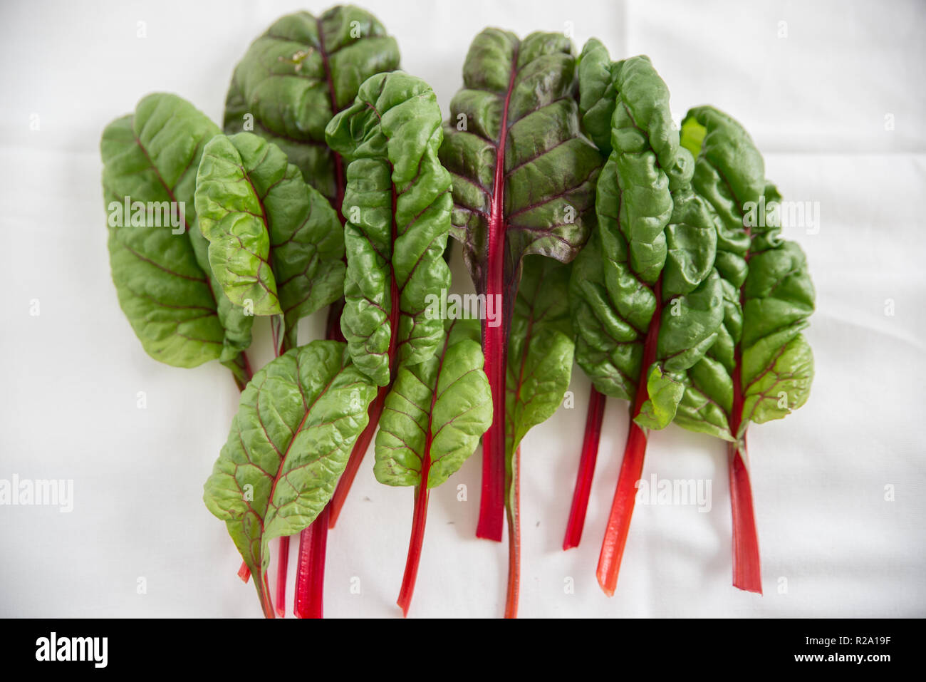 Mangold wurzel -Fotos und -Bildmaterial in hoher Auflösung – Alamy