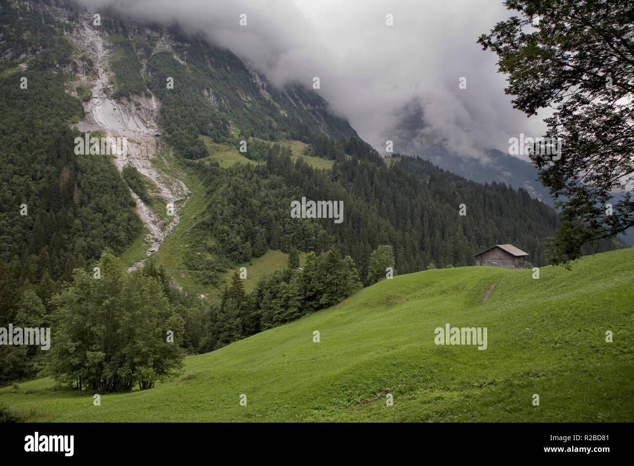 Scheunen und alpine Wiese an Unterhäusern mit den steilen Hängen der ...