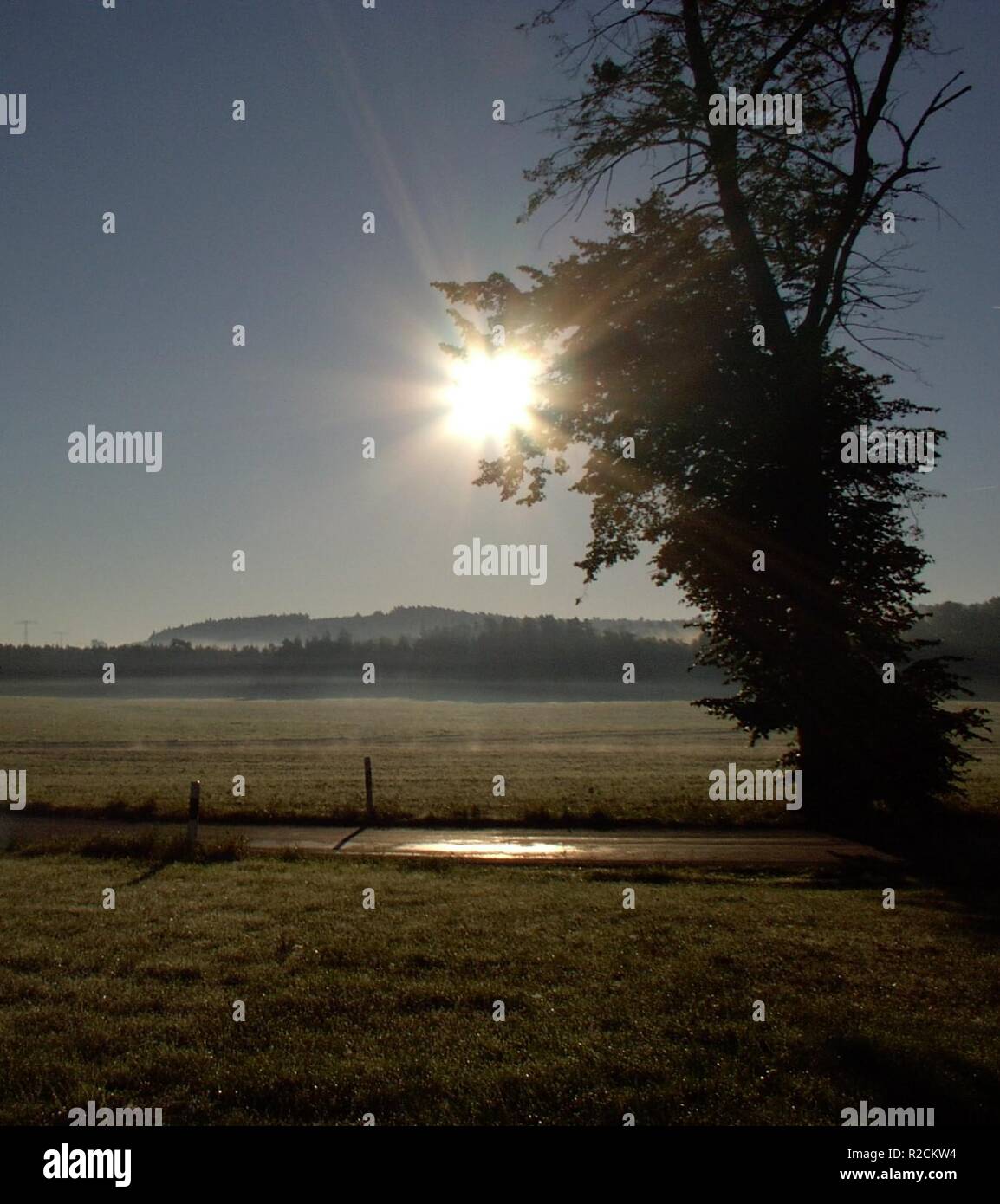 Nebelaufla gesungen -Fotos und -Bildmaterial in hoher Auflösung – Alamy