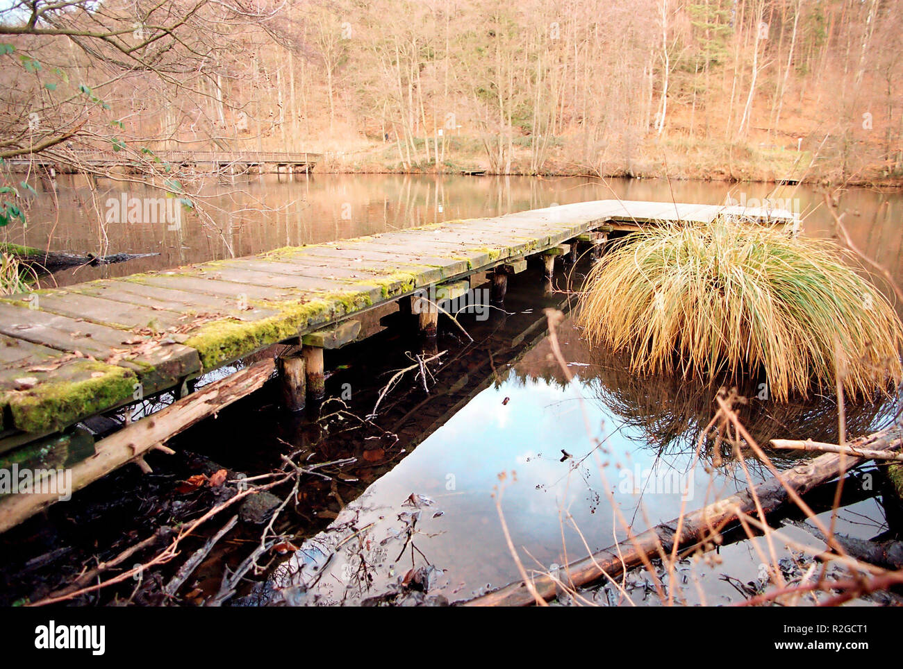 Saarland shore -Fotos und -Bildmaterial in hoher Auflösung – Alamy