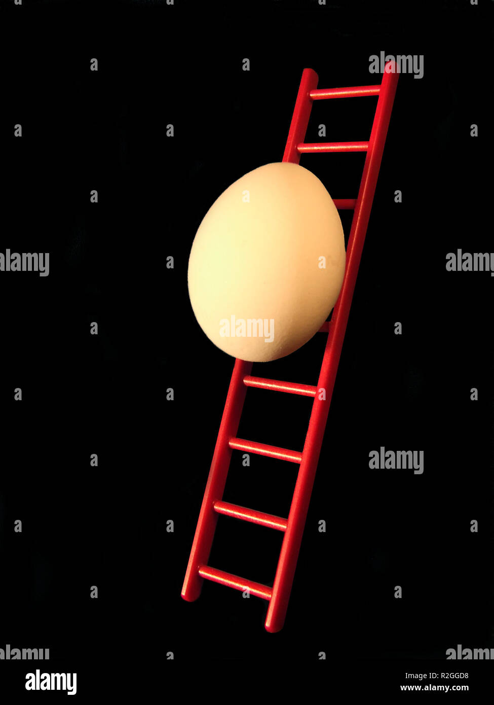 Am eileiter -Fotos und -Bildmaterial in hoher Auflösung – Alamy