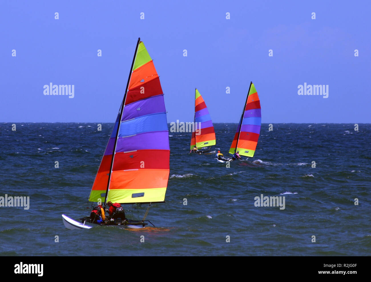 Baltische rasse -Fotos und -Bildmaterial in hoher Auflösung – Alamy