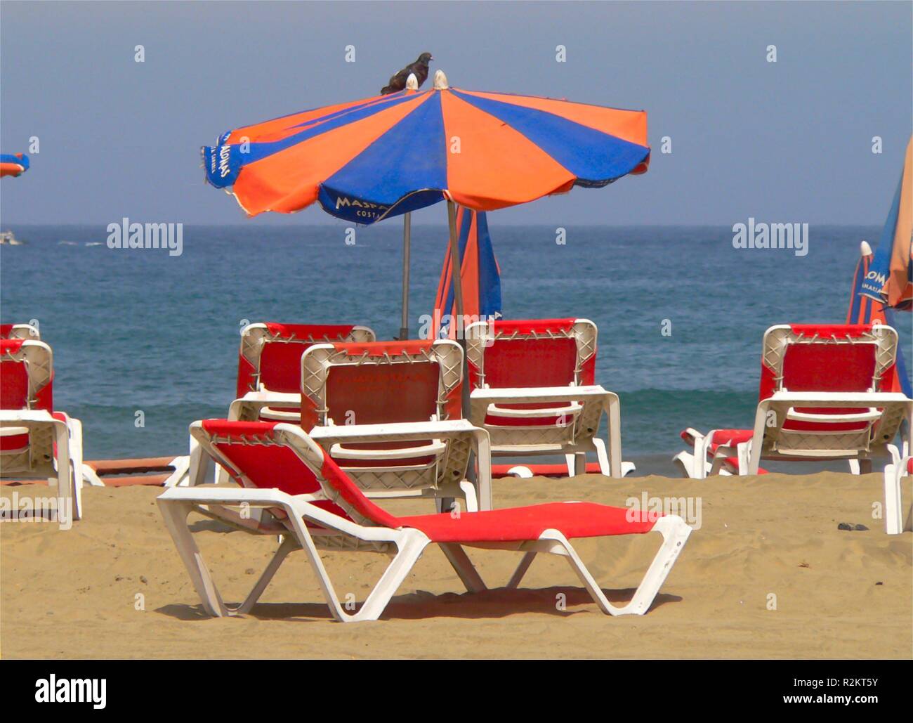 Las dunas de maspalomas strand -Fotos und -Bildmaterial in hoher ...