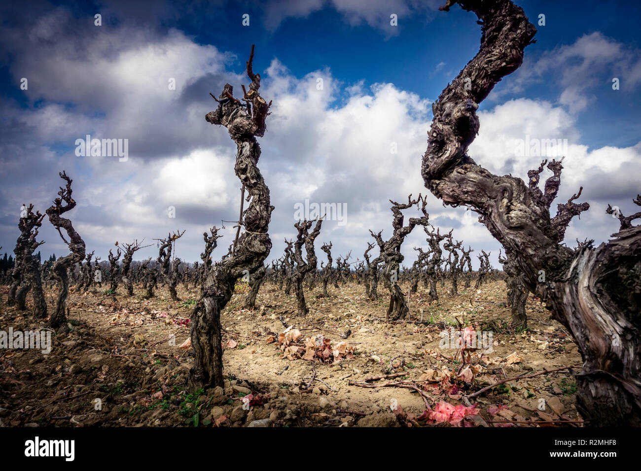 La clape -Fotos und -Bildmaterial in hoher Auflösung – Alamy