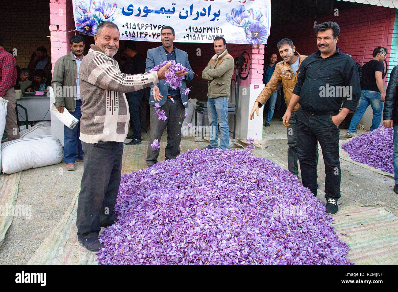 Safran ernte iran -Fotos und -Bildmaterial in hoher Auflösung – Alamy
