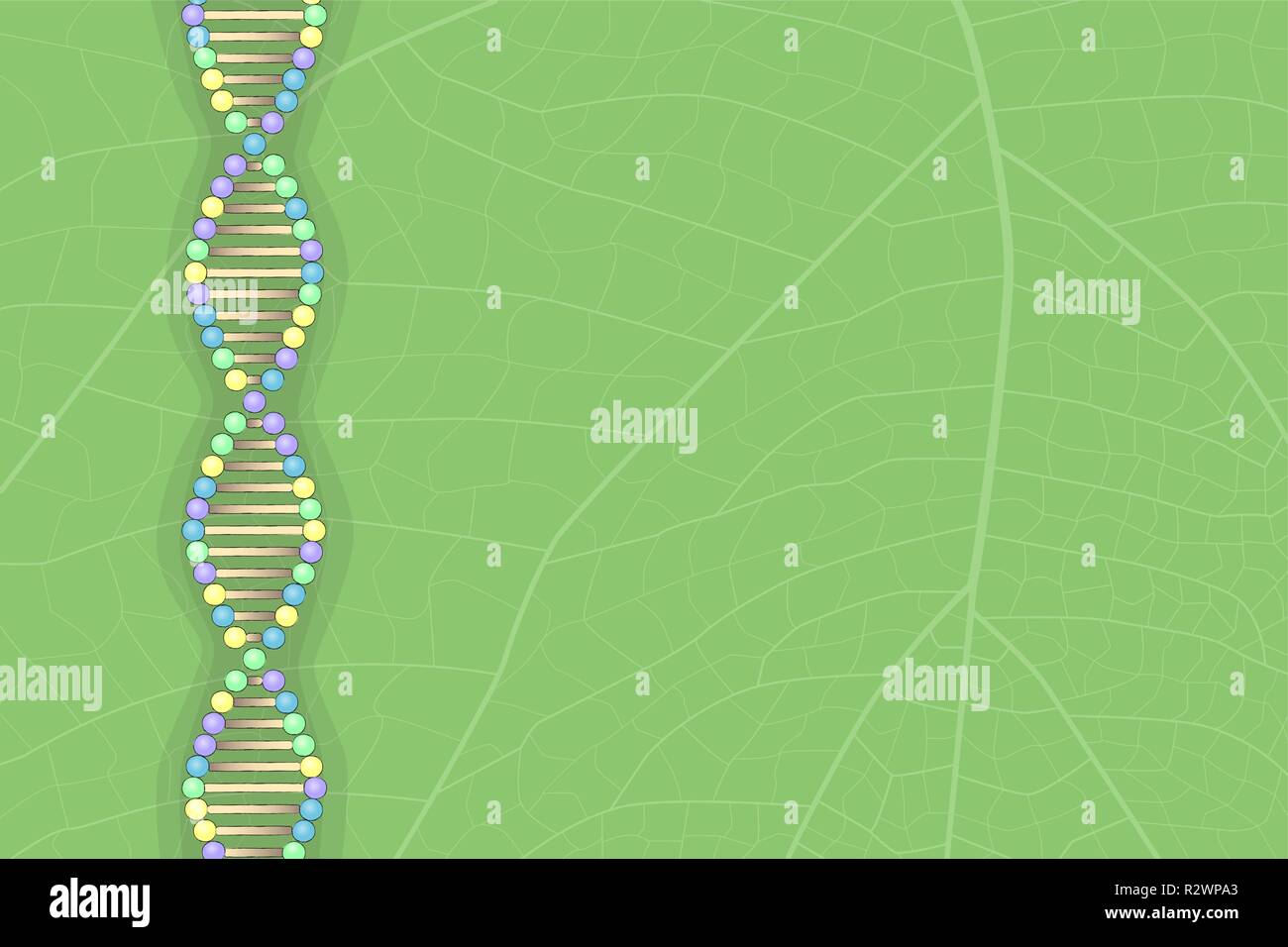 DNA-Molekül auf Blatt, Vector Illustration Stock-Vektorgrafik - Alamy