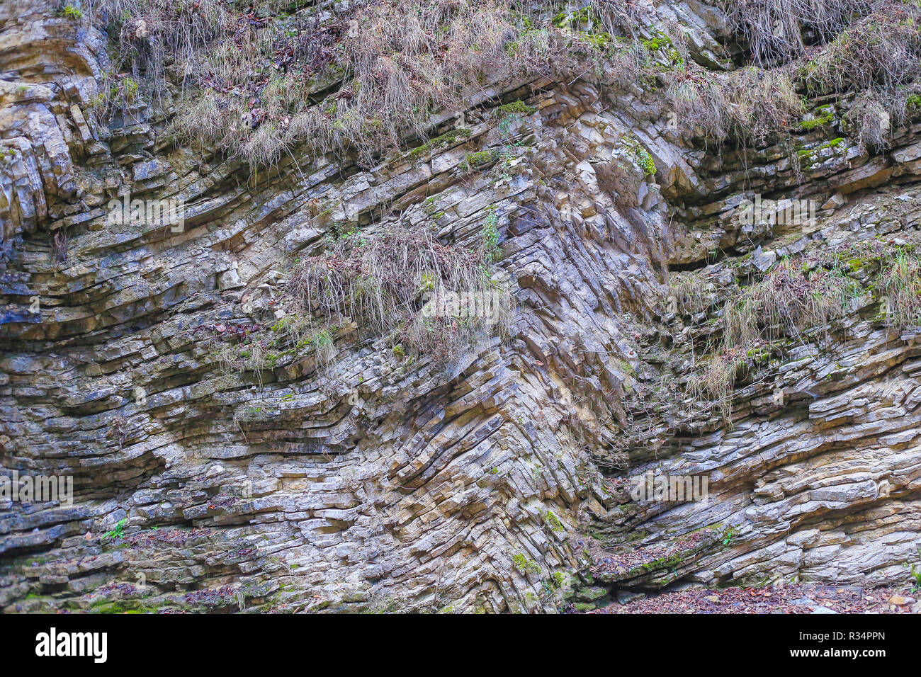 Antike platten -Fotos und -Bildmaterial in hoher Auflösung – Alamy