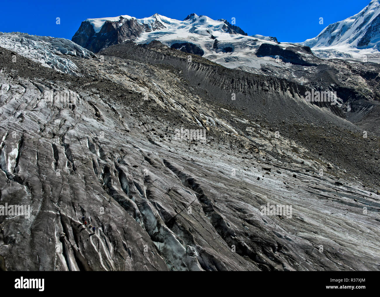 Blick über den oberen Gorner Gletscher des Monte Rosa Massiv mit den ...