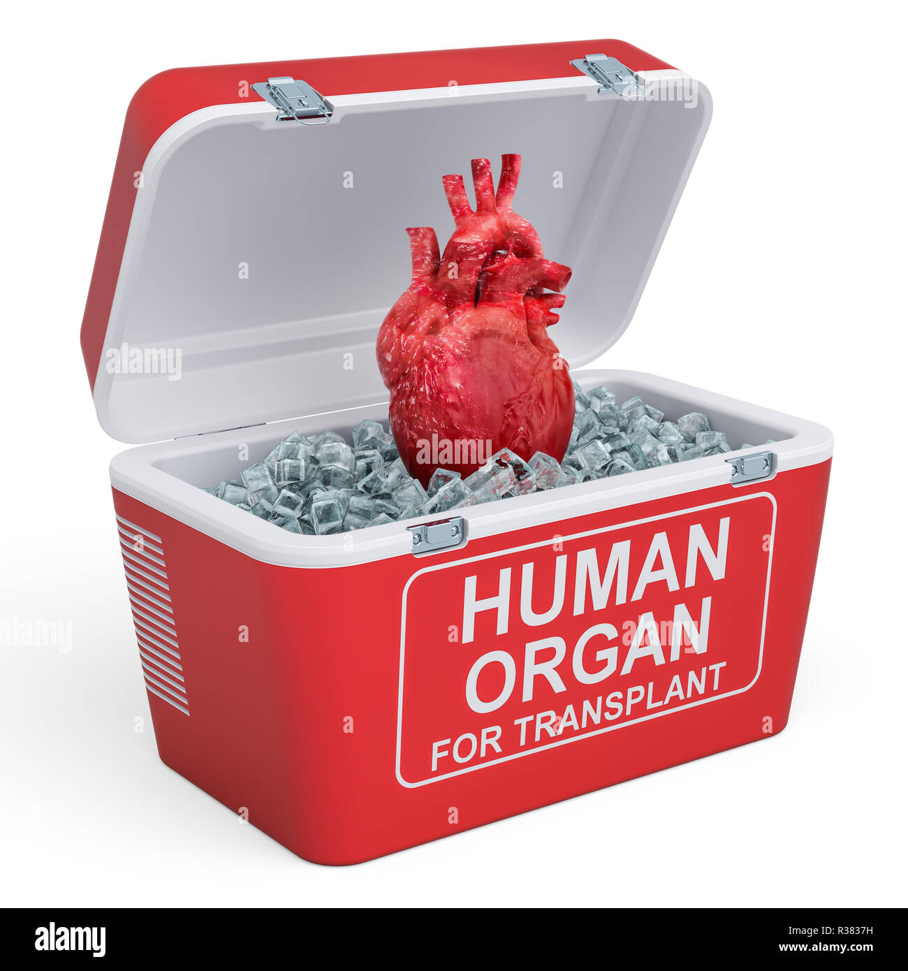 Organ transport box -Fotos und -Bildmaterial in hoher Auflösung – Alamy