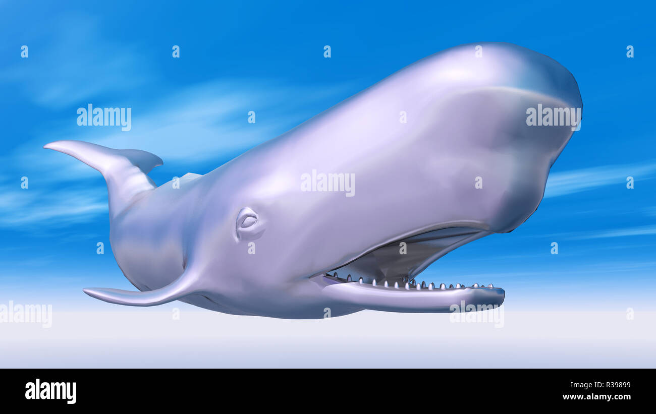 Pottwal pottwal -Fotos und -Bildmaterial in hoher Auflösung – Alamy