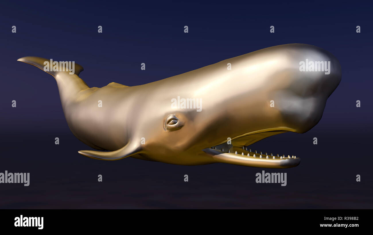 Pottwal pottwal -Fotos und -Bildmaterial in hoher Auflösung – Alamy