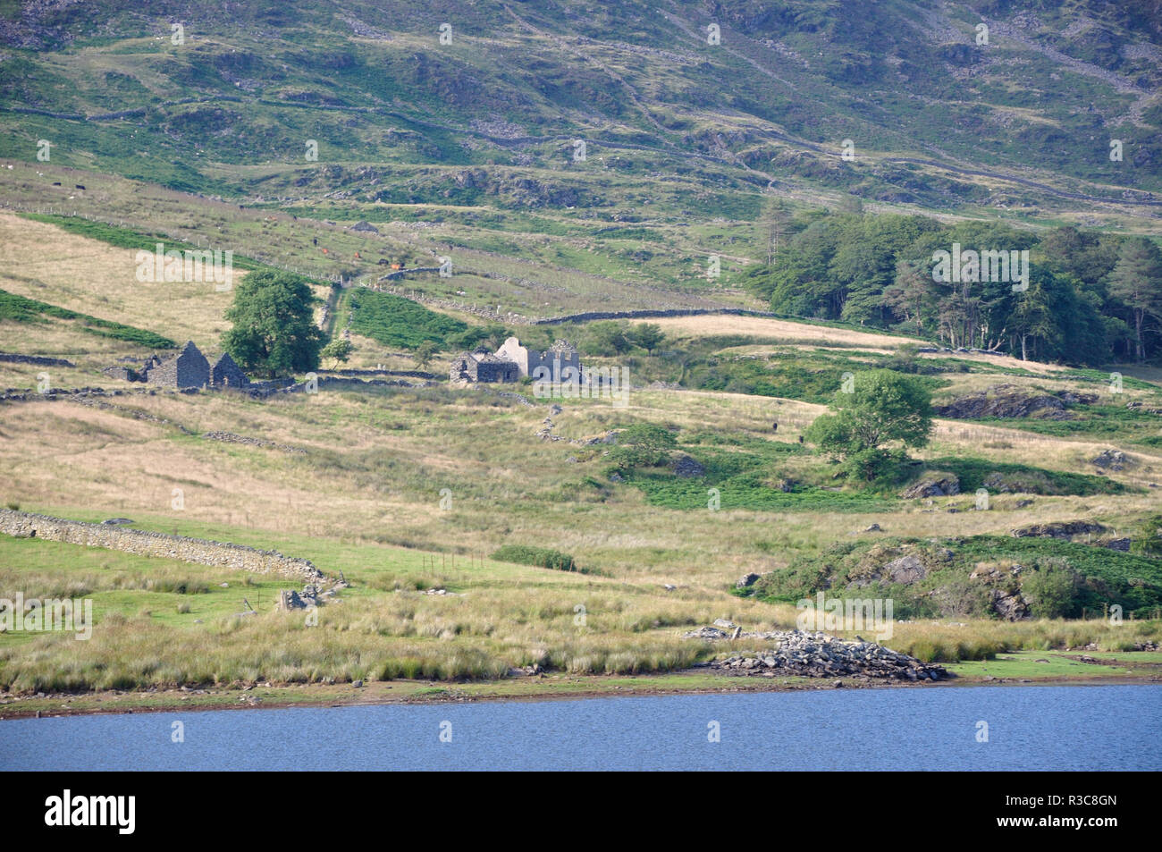 Llyn cwmystradllyn -Fotos und -Bildmaterial in hoher Auflösung – Alamy Llyn cwmystradllyn -Fotos und -Bildmaterial in hoher Auflösung – Alamy
