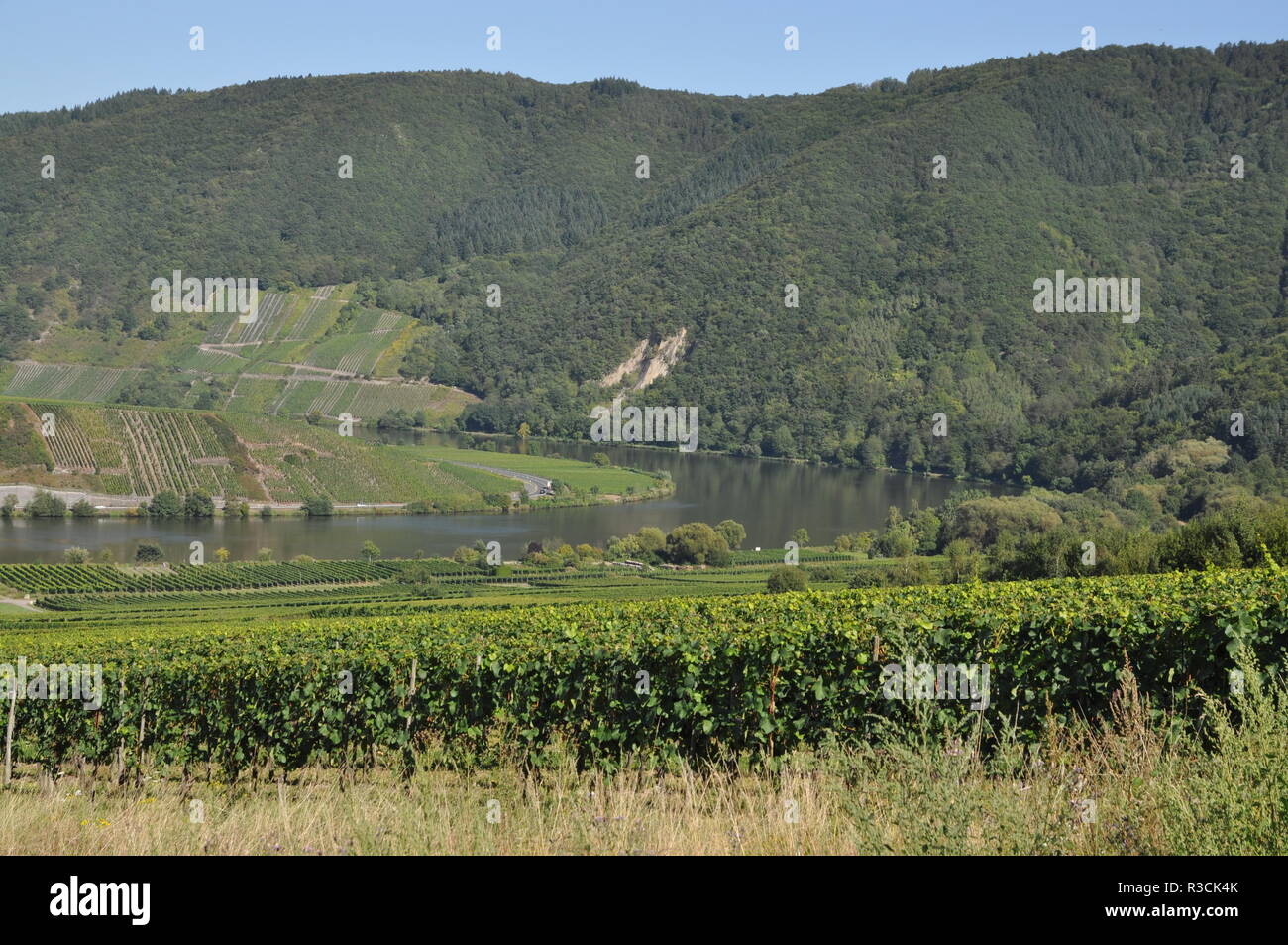 Mehring mosel -Fotos und -Bildmaterial in hoher Auflösung – Alamy