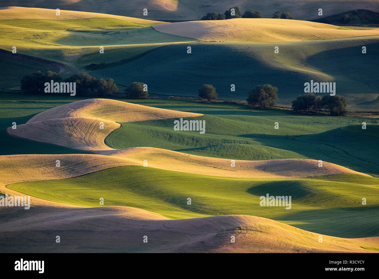 Palouse weizenfelder -Fotos und -Bildmaterial in hoher Auflösung – Alamy