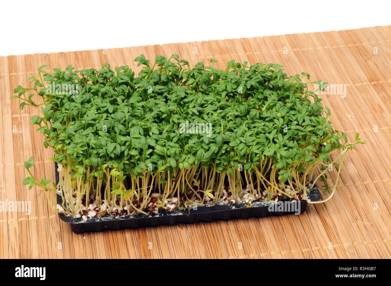 Anbau Plantation Stockfotos und -bilder Kaufen - Alamy