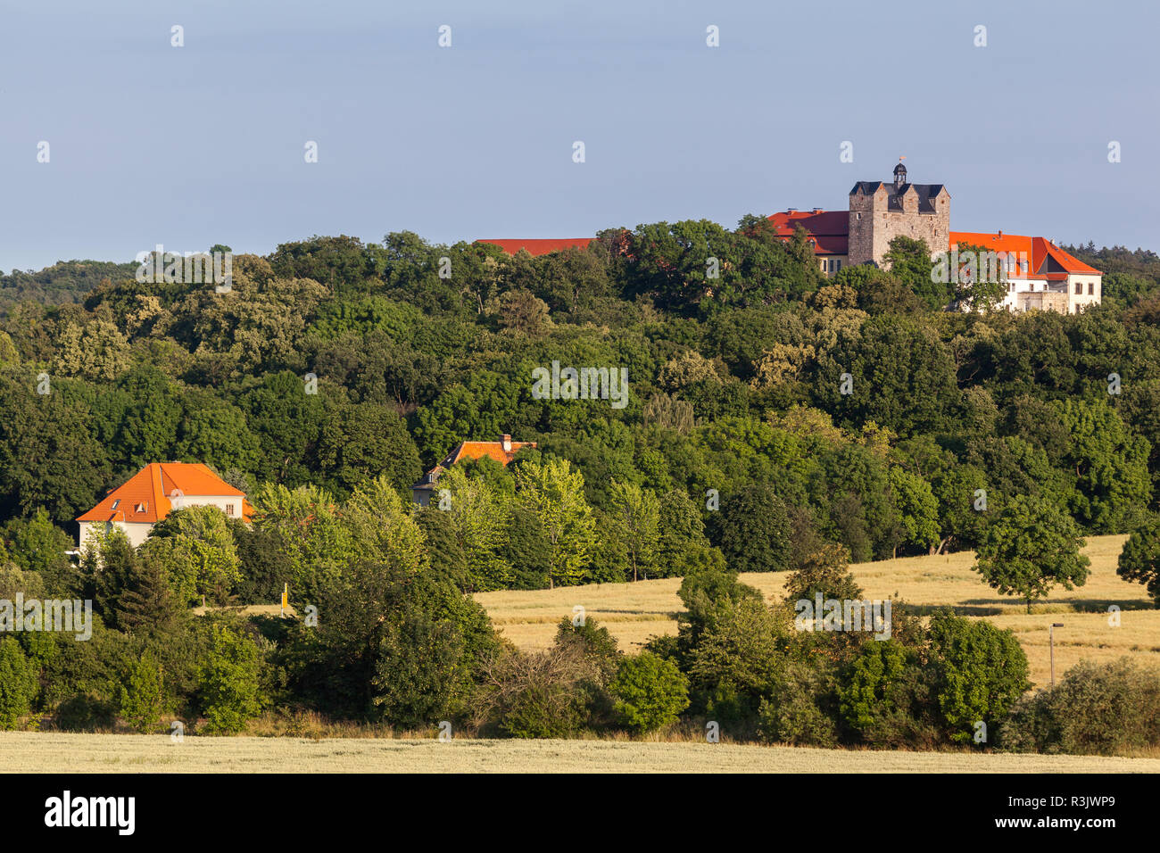 Ballenstedter schloss -Fotos und -Bildmaterial in hoher Auflösung – Alamy