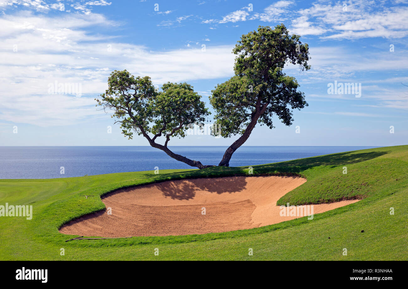 Tropischer golfplatz -Fotos und -Bildmaterial in hoher Auflösung – Alamy
