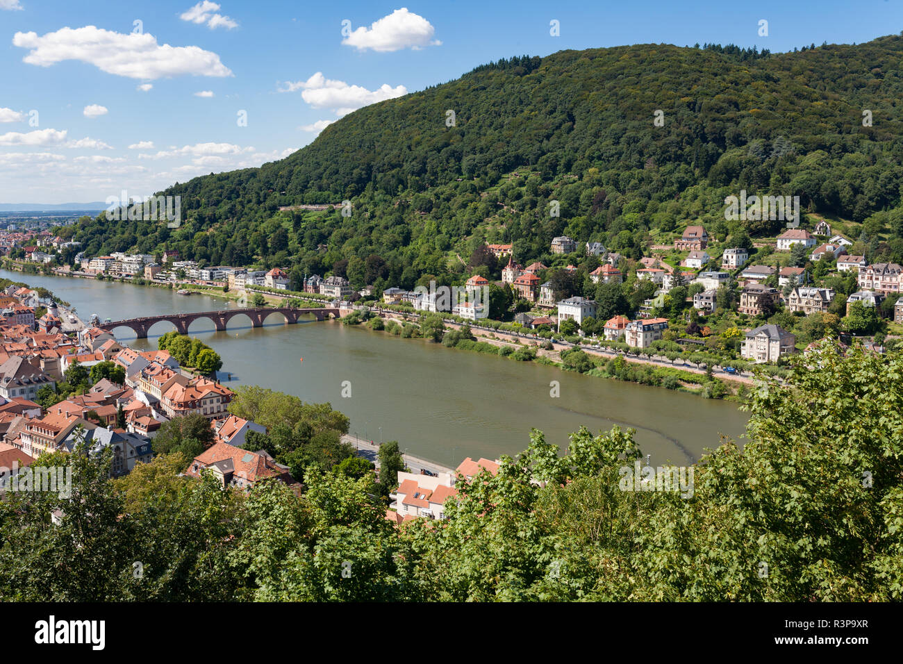 Heidelberger altstadt -Fotos und -Bildmaterial in hoher Auflösung – Alamy