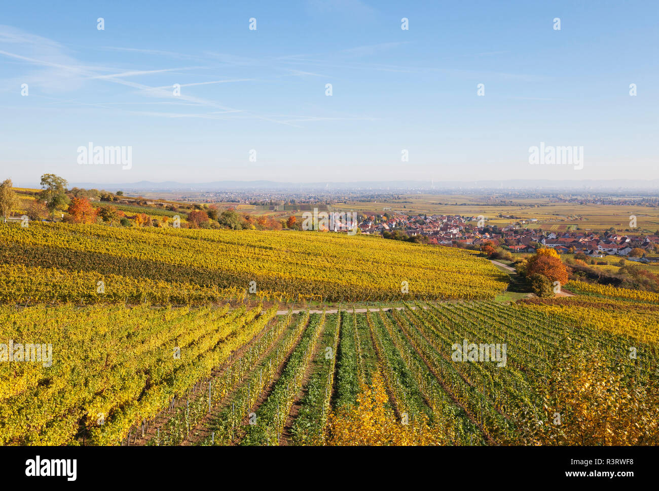 Kallstadt, germany -Fotos und -Bildmaterial in hoher Auflösung – Alamy