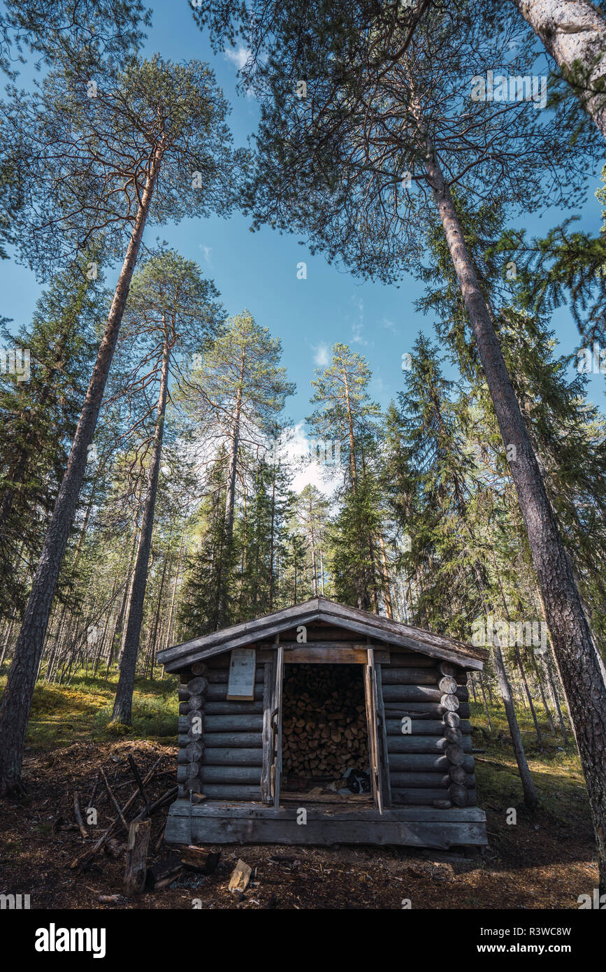 Finnland, Vikakongas, Holz- Scheune mit Feuer Holz im Wald ...