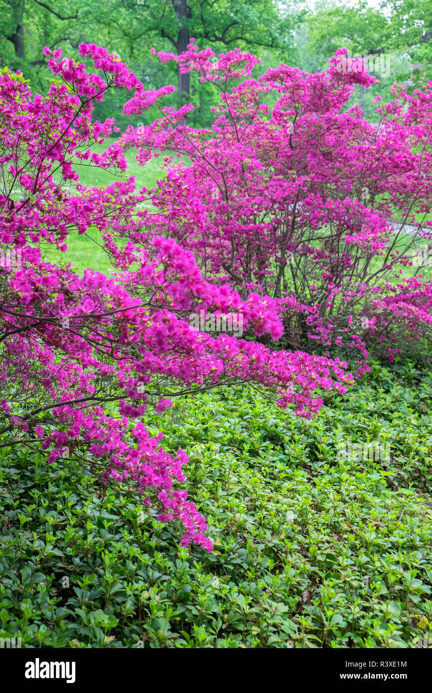 Winterthur Delaware Stockfotos und -bilder Kaufen - Alamy