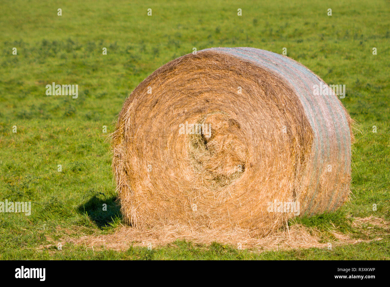 1 ein ballen -Fotos und -Bildmaterial in hoher Auflösung – Alamy