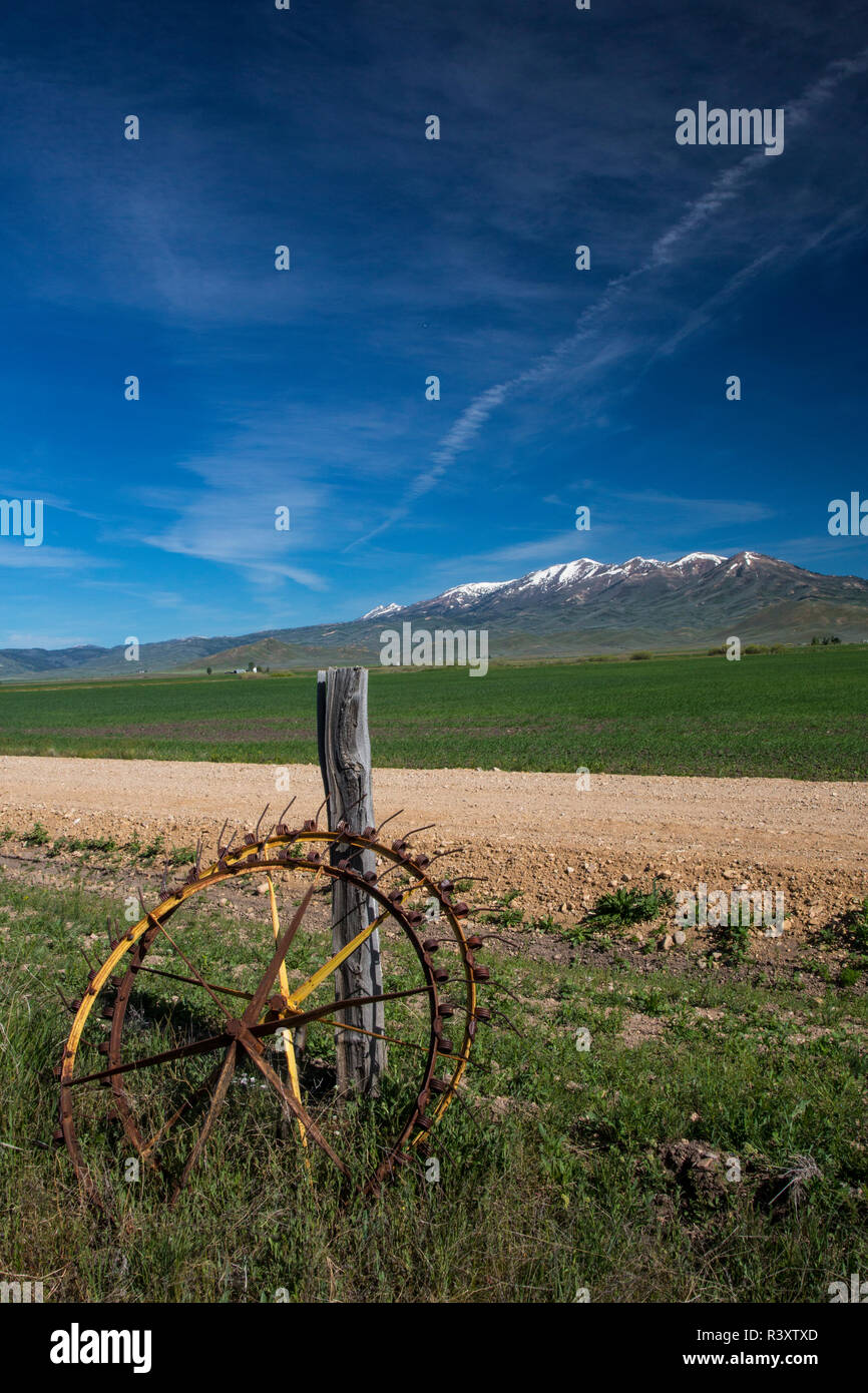 Kopie platz heu harken -Fotos und -Bildmaterial in hoher Auflösung – Alamy