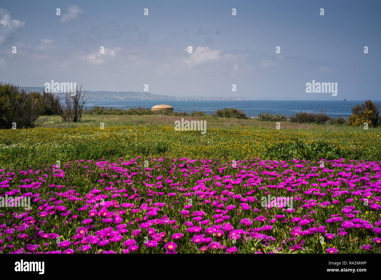 Kap colonna Stockfotos und -bilder Kaufen - Alamy