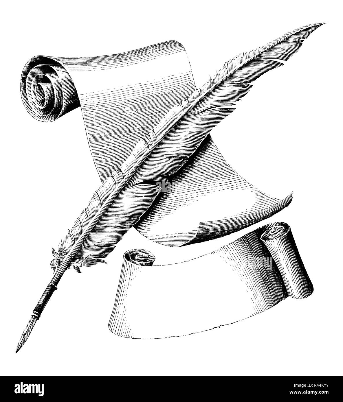 Federkiel und leeres Papier mit Banner hand Zeichnung vintage Gravur ...