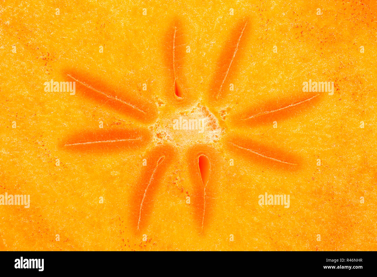 Khaki diospyros kaki -Fotos und -Bildmaterial in hoher Auflösung – Alamy