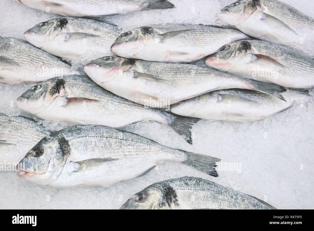 Fisch Liegt Auf Eis Stockfotos und -bilder Kaufen - Alamy