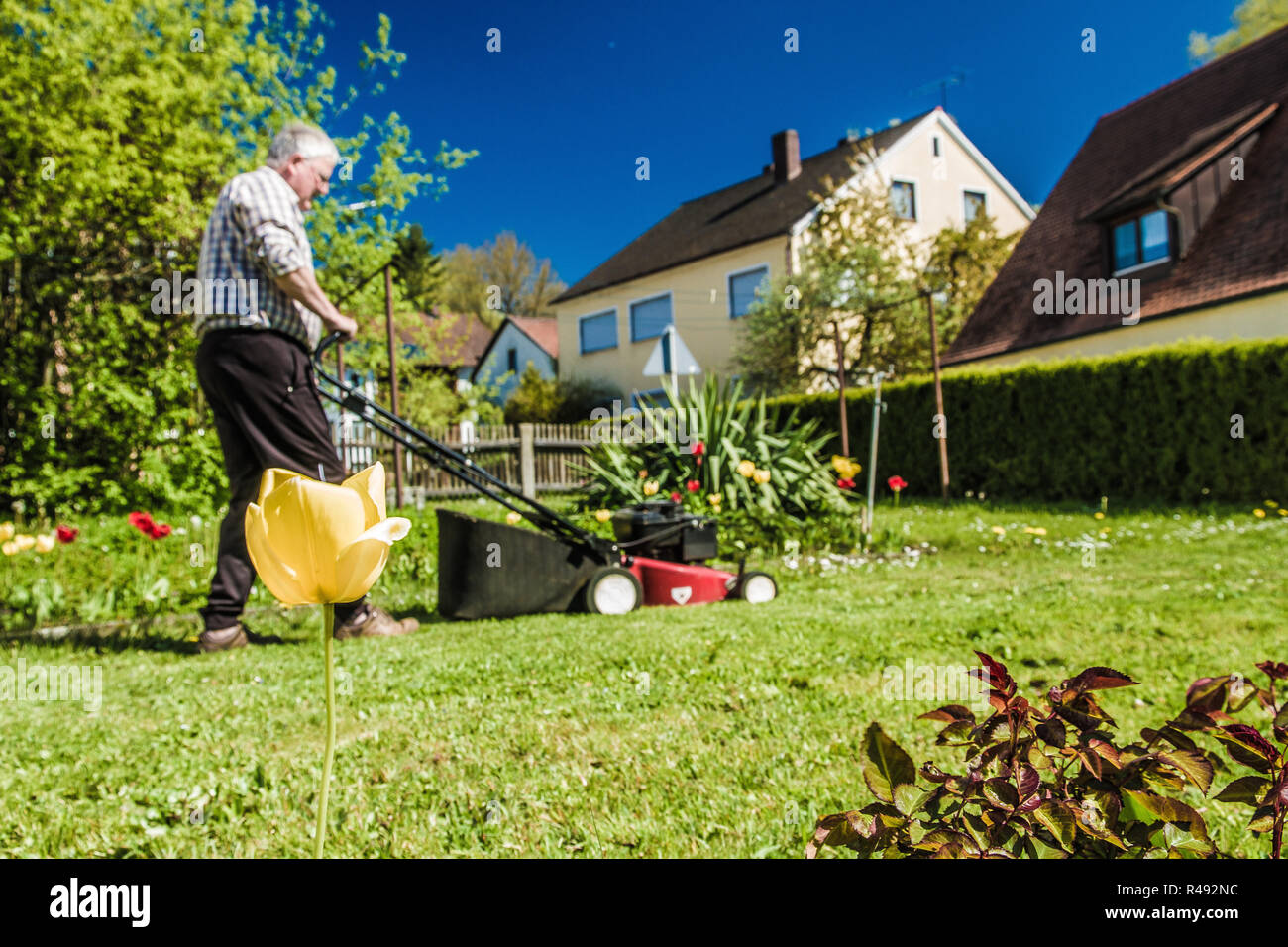 Wunderschone Neuen Rasen Wann Mahen Fotos
