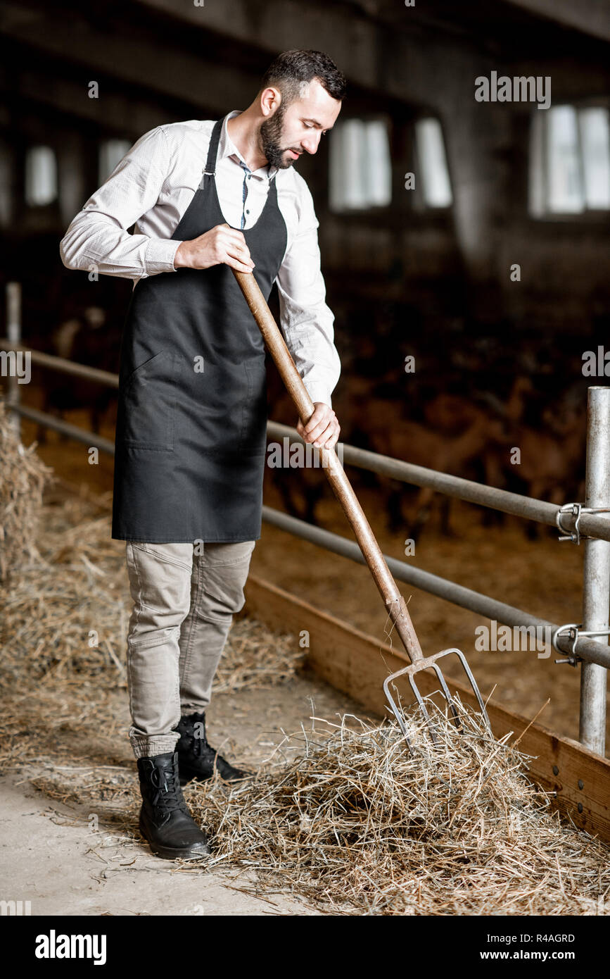 Stattliche Bauer in Schürze arbeiten mit Heu im Stall auf dem Ziegenhof ...