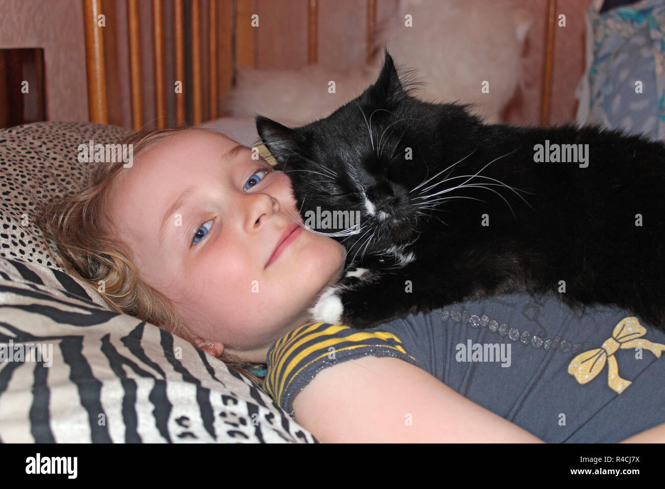 Hauskatze, die auf das bett legt -Fotos und -Bildmaterial in hoher ...