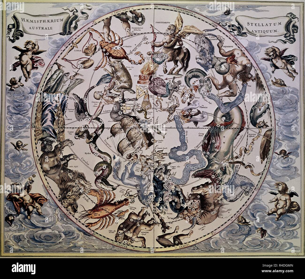 Andreas cellarius hémisphère -Fotos und -Bildmaterial in hoher ...