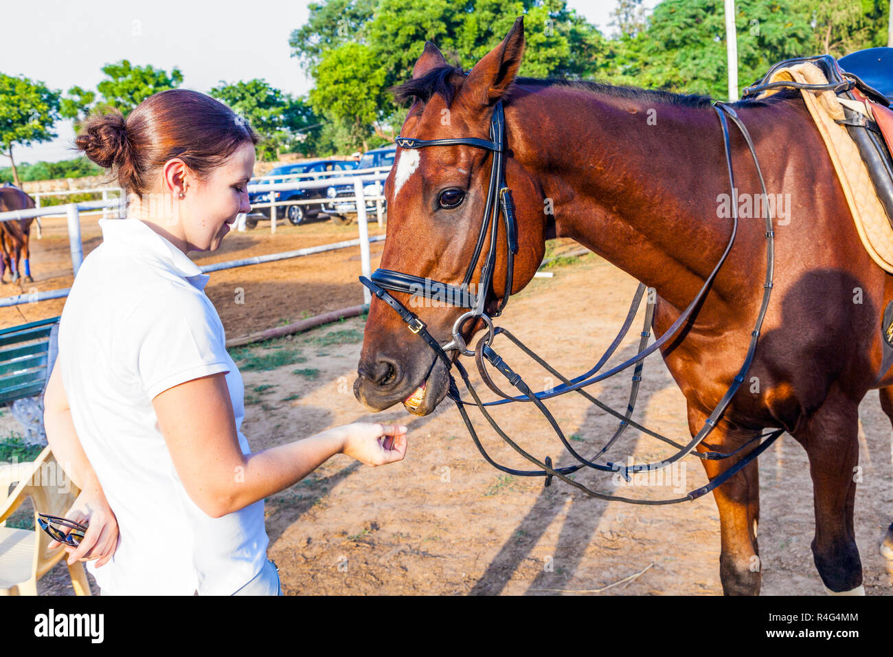 Pferd falabella -Fotos und -Bildmaterial in hoher Auflösung - Seite 2 ...