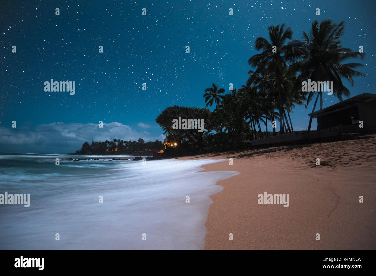 Hawaii palm stars -Fotos und -Bildmaterial in hoher Auflösung – Alamy