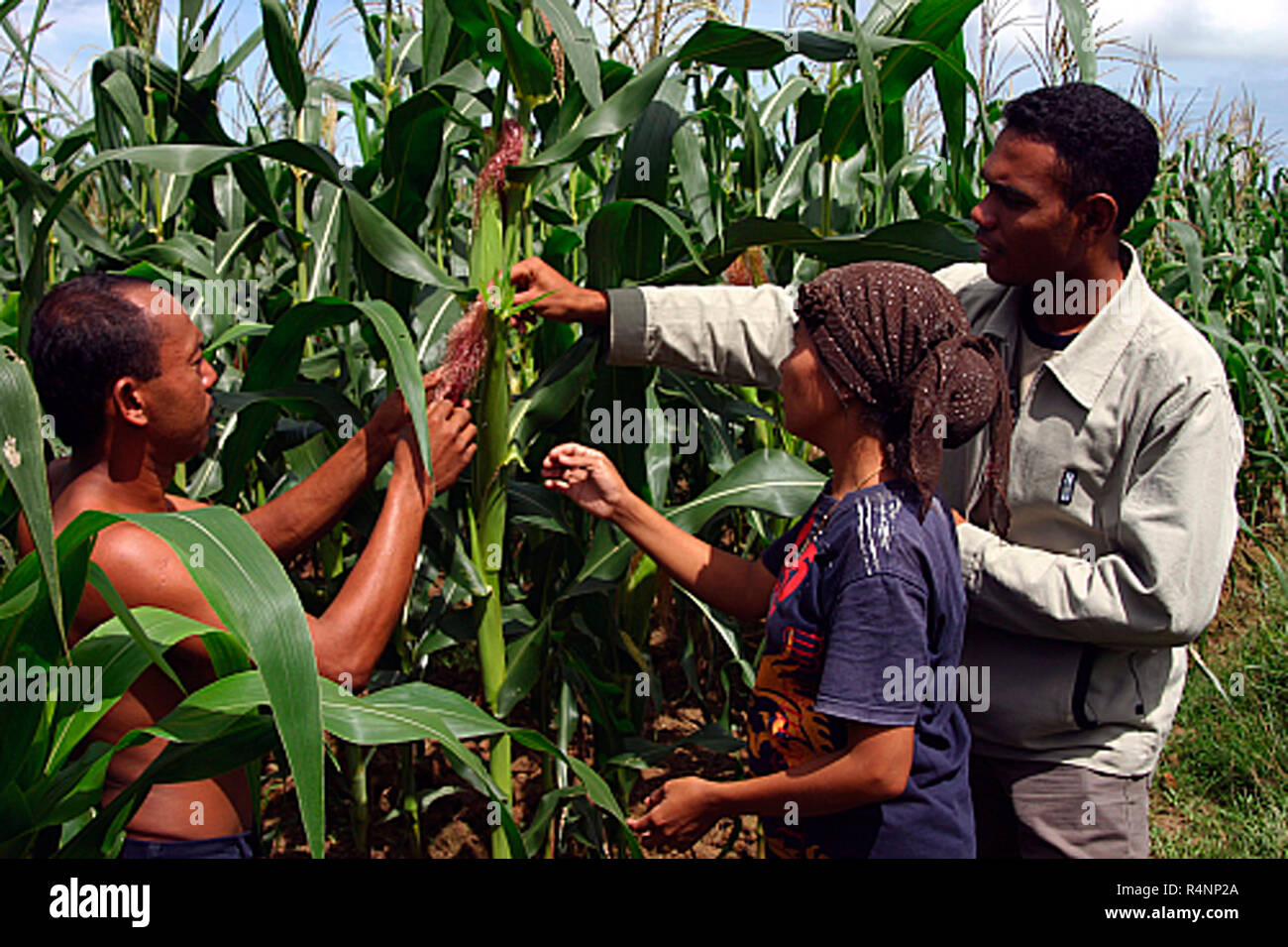 Christliche bauern -Fotos und -Bildmaterial in hoher Auflösung – Alamy