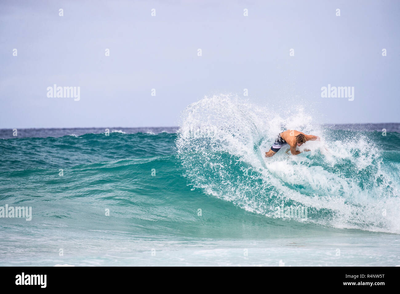 Welle jung -Fotos und -Bildmaterial in hoher Auflösung – Alamy