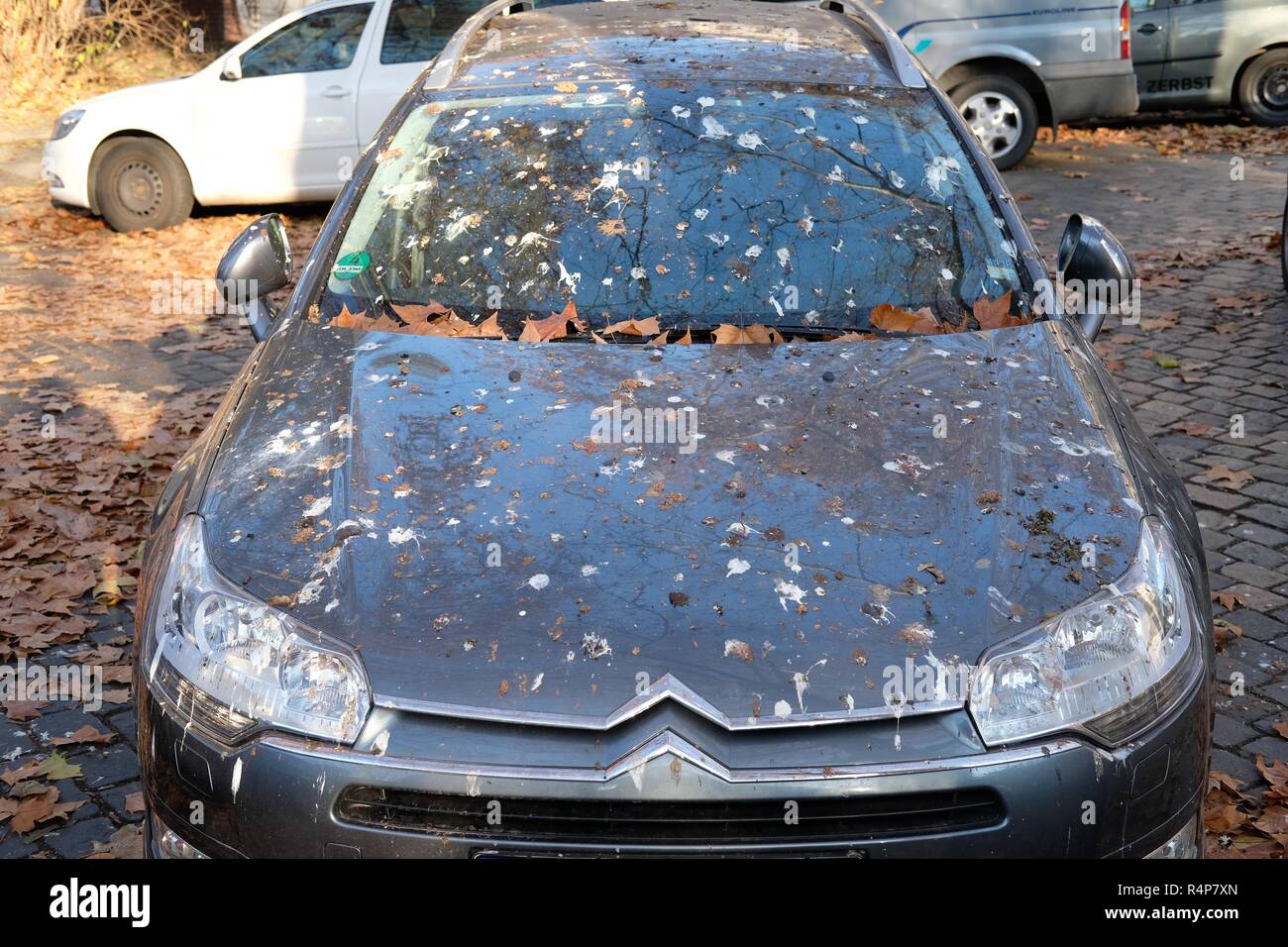 Leipzig, Deutschland. 28 Nov, 2018. Ein Auto abgedeckt mit Vogelkot ...