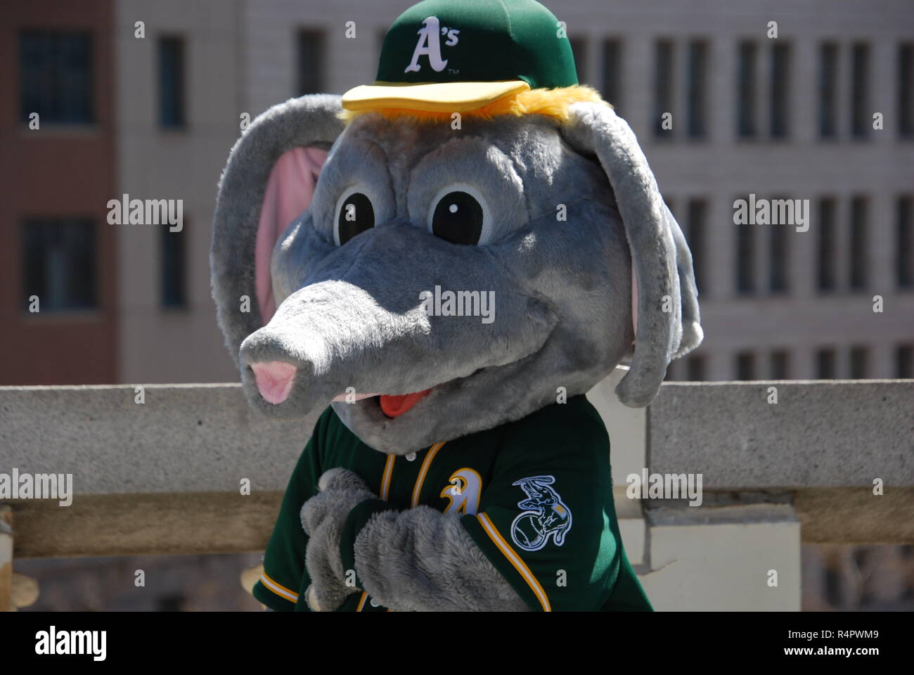 Atheltics maskottchen -Fotos und -Bildmaterial in hoher Auflösung – Alamy