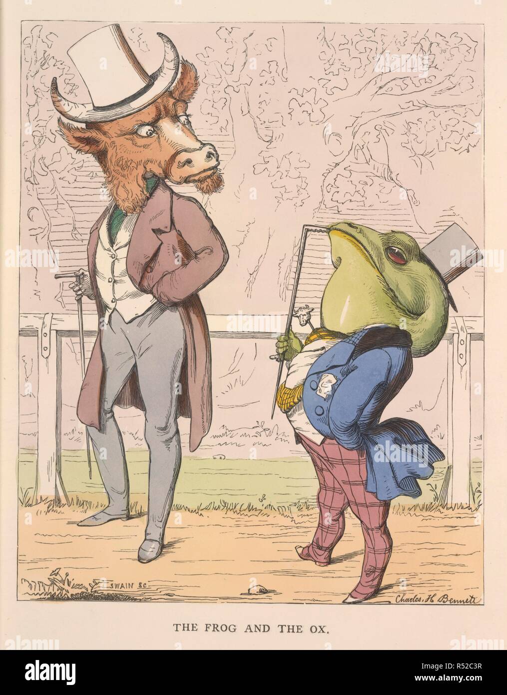 Der frosch und der ochse -Fotos und -Bildmaterial in hoher Auflösung ...