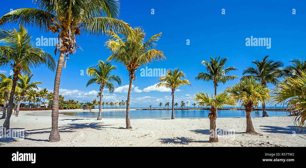 Runde Strand in Miami florida usa Stockfotografie - Alamy