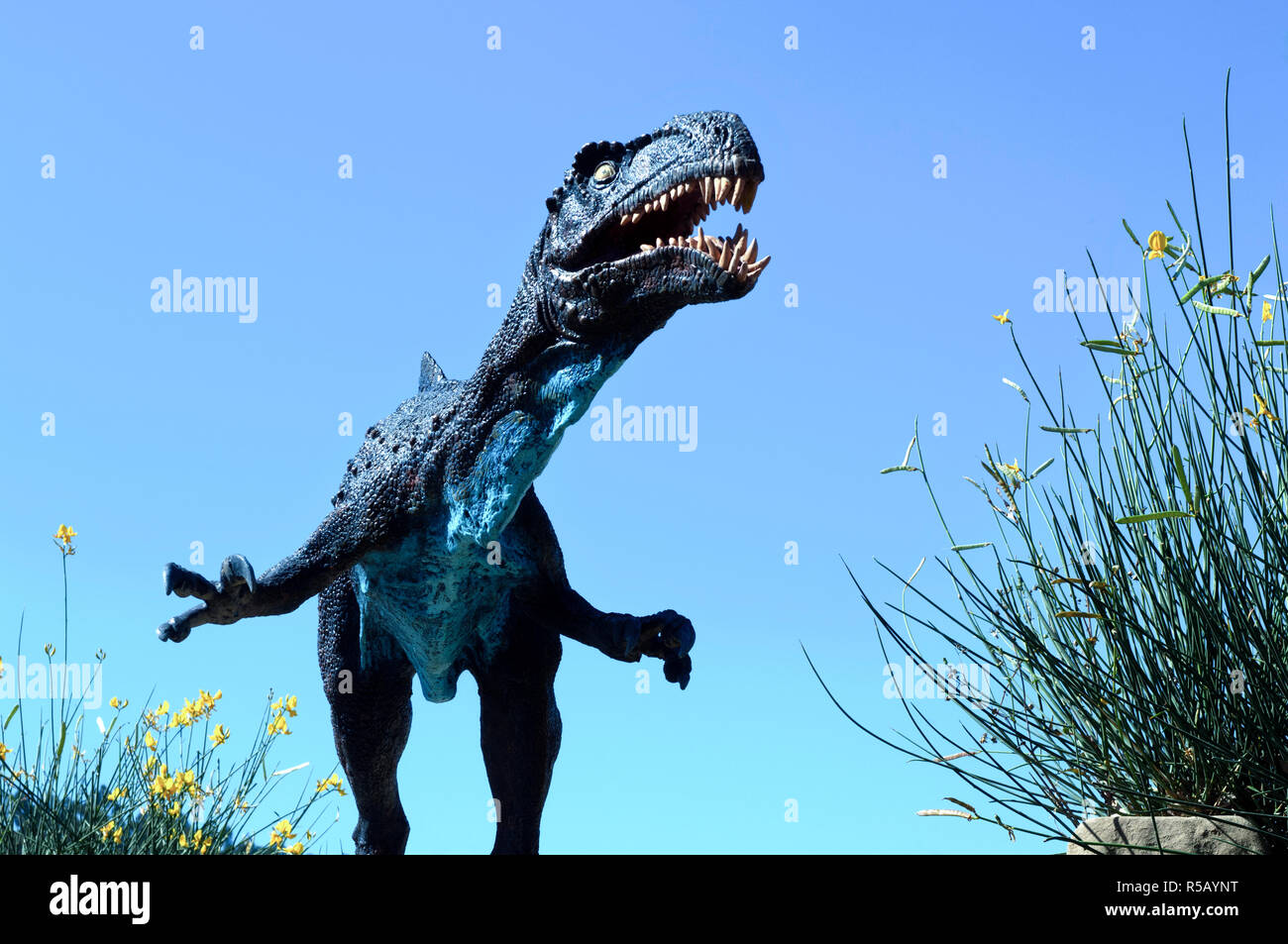 Zement steinbruch -Fotos und -Bildmaterial in hoher Auflösung – Alamy