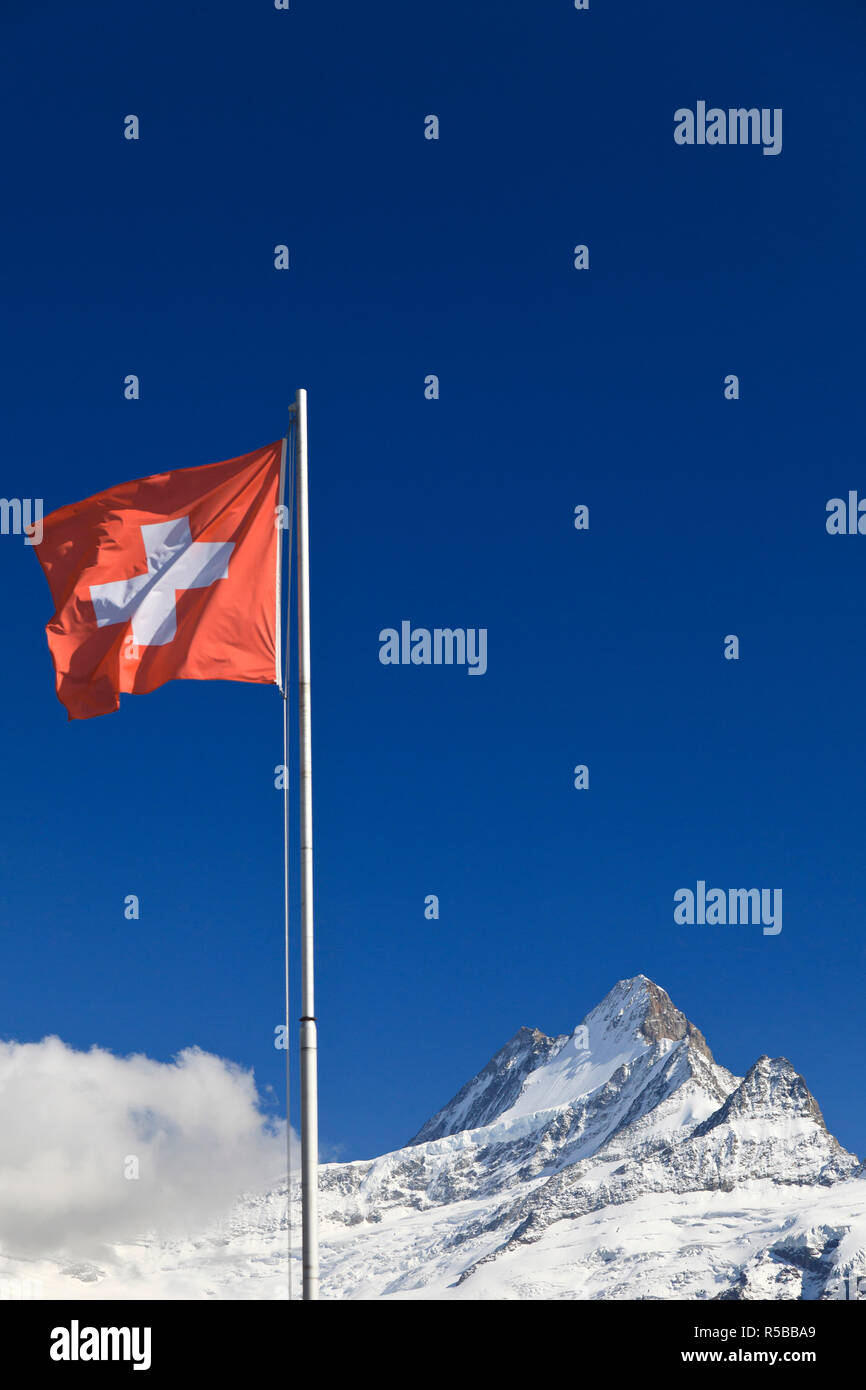Bernese flag -Fotos und -Bildmaterial in hoher Auflösung - Seite 2 - Alamy
