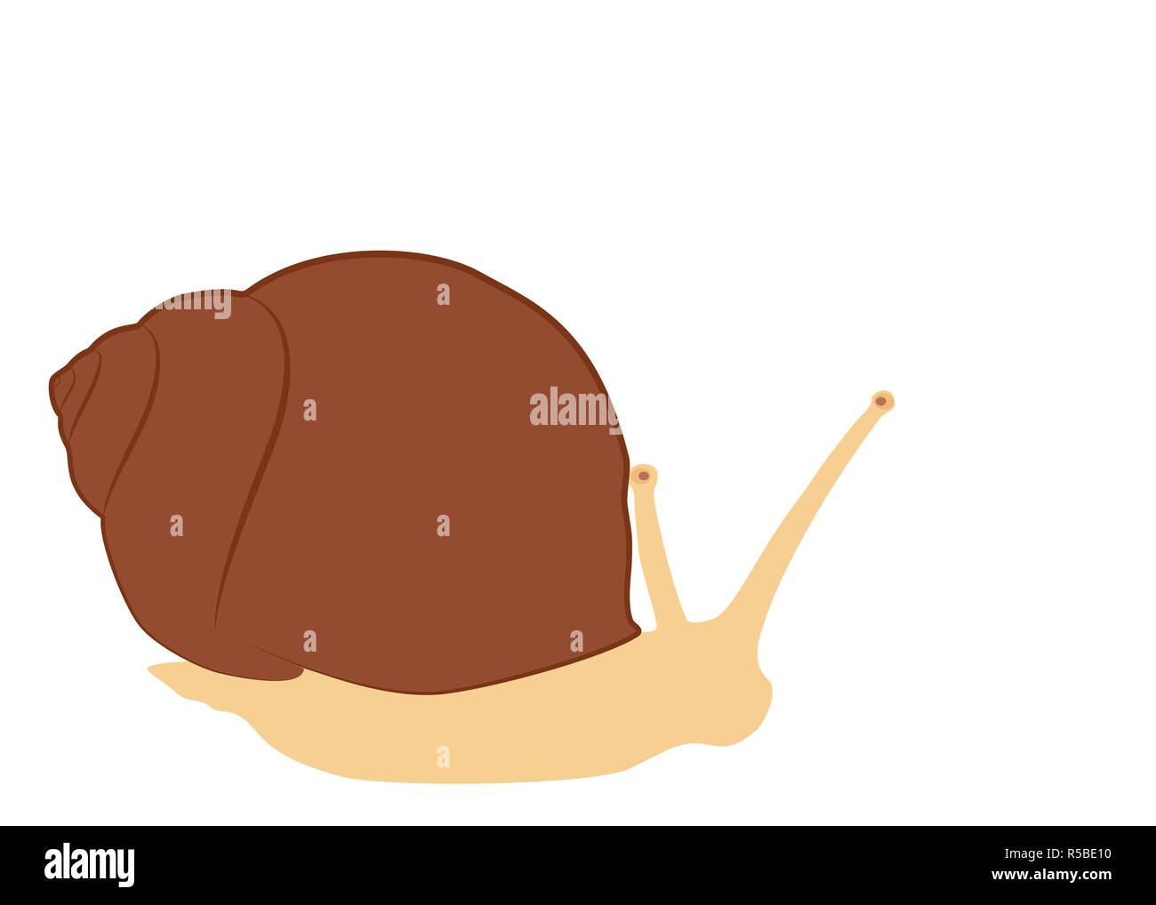 Große Schnecke Tier kriechen braun Silhouette auf weißem Hintergrund ...