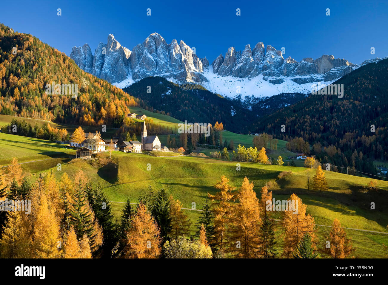 Geisler gruppe -Fotos und -Bildmaterial in hoher Auflösung – Alamy